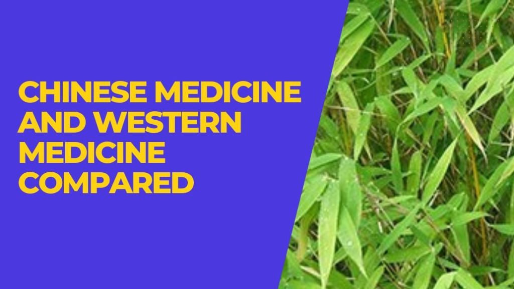 Chinese Medicine And Western Medicine Compared Acubody Chinese Medicine And Western Medicine Compared Acubody