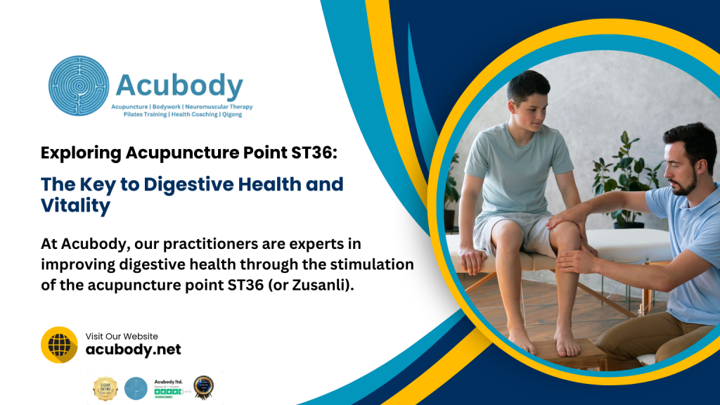 Acupuncture Point ST36 for Digestive Health | Acubody Therapies